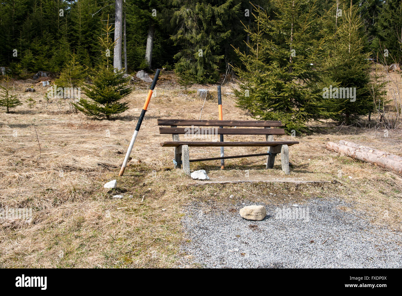 bench in the forest Stock Photo - Alamy
