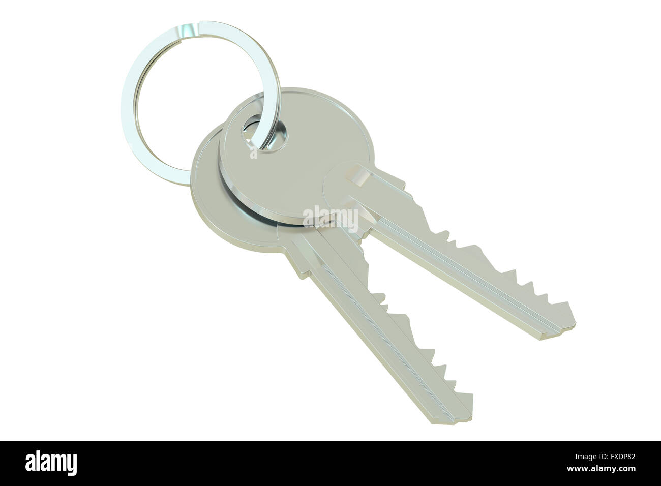Two keys on a keyring, 3D rendering isolated on white background Stock ...