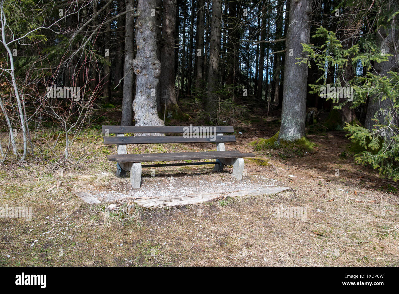 bench in the forest Stock Photo - Alamy