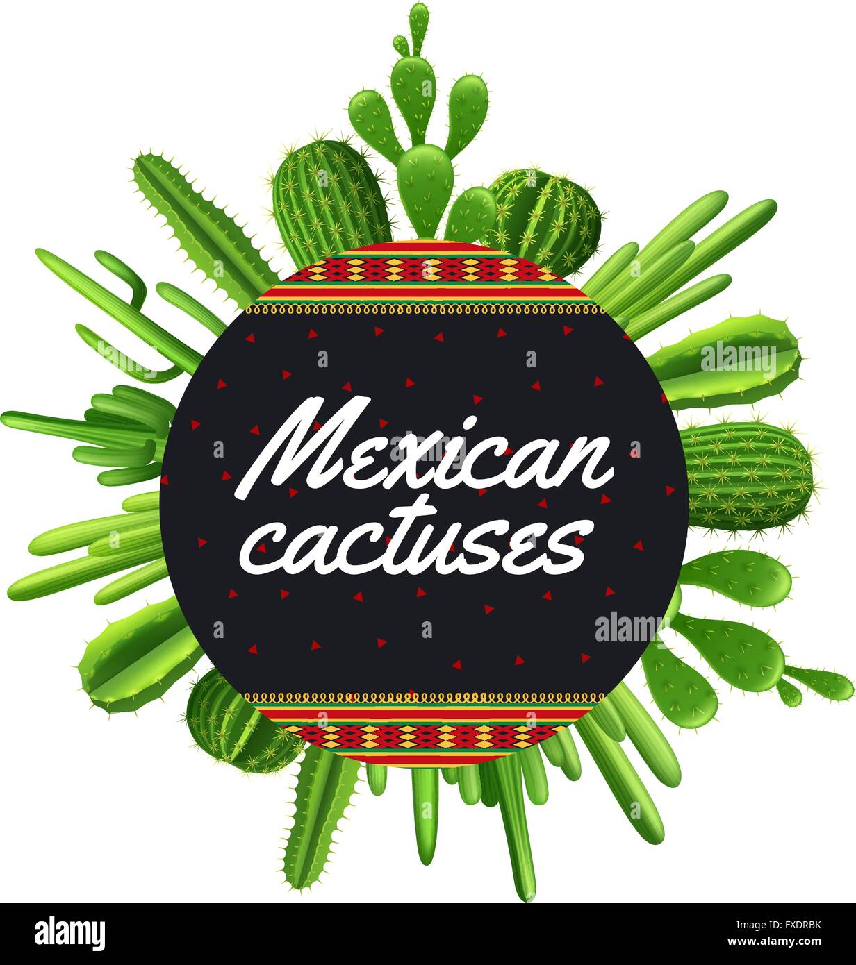 Mexican Cactus Illustration Stock Vector Image & Art - Alamy