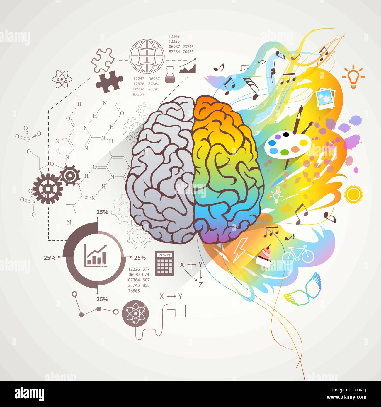Left Right Brain Concept Stock Vector Image & Art - Alamy