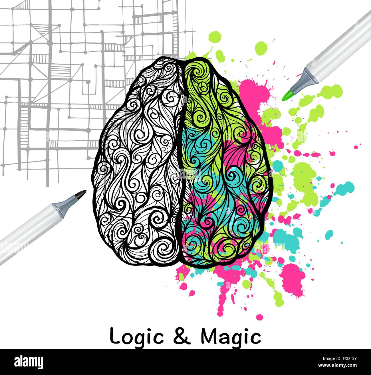 Left And Right Brain Stock Vector Image & Art - Alamy