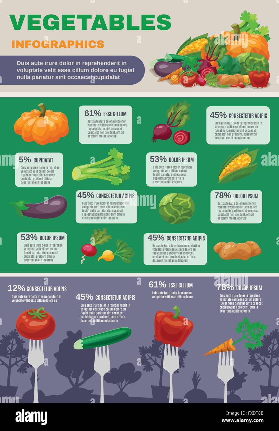 Vegetables Infographic Set Stock Vector Image & Art - Alamy