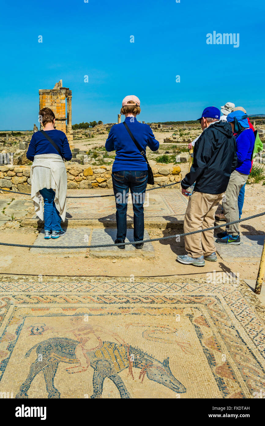 Tessellation Mosaic High Resolution Stock Photography and Images - Alamy