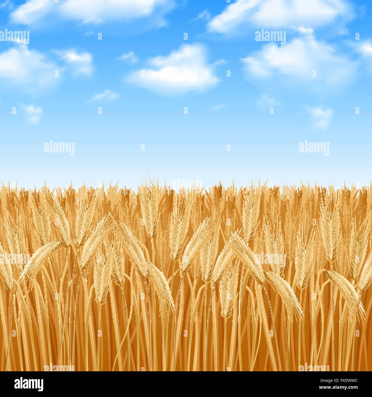 Wheat Field Background Stock Vector Image & Art - Alamy Wheat Field Background Stock Vector Image & Art - Alamy