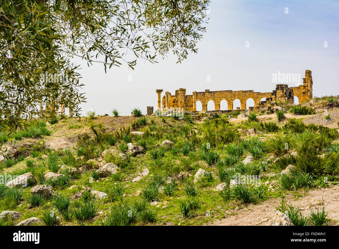 Volubilis meknes hi-res stock photography and images - Alamy