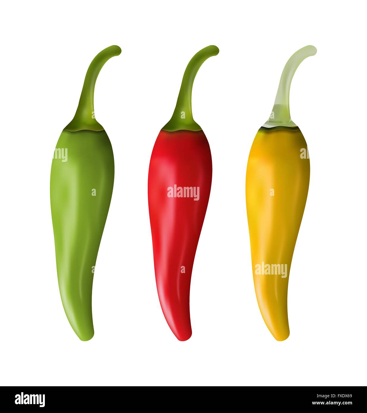 Collection of chilli peppers Stock Vector Images - Alamy