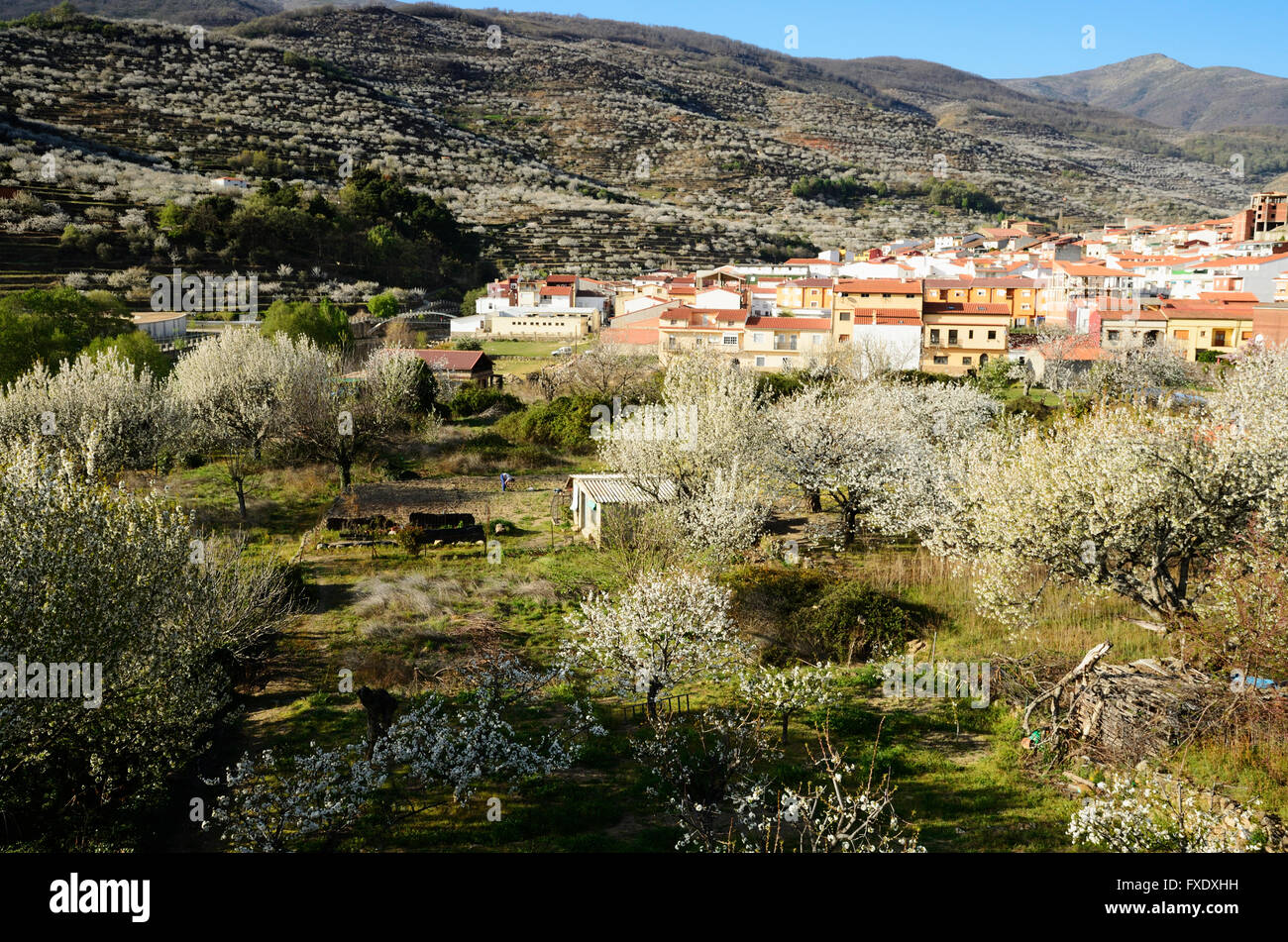 Valle Del Jerte High Resolution Stock Photography and Images - Alamy