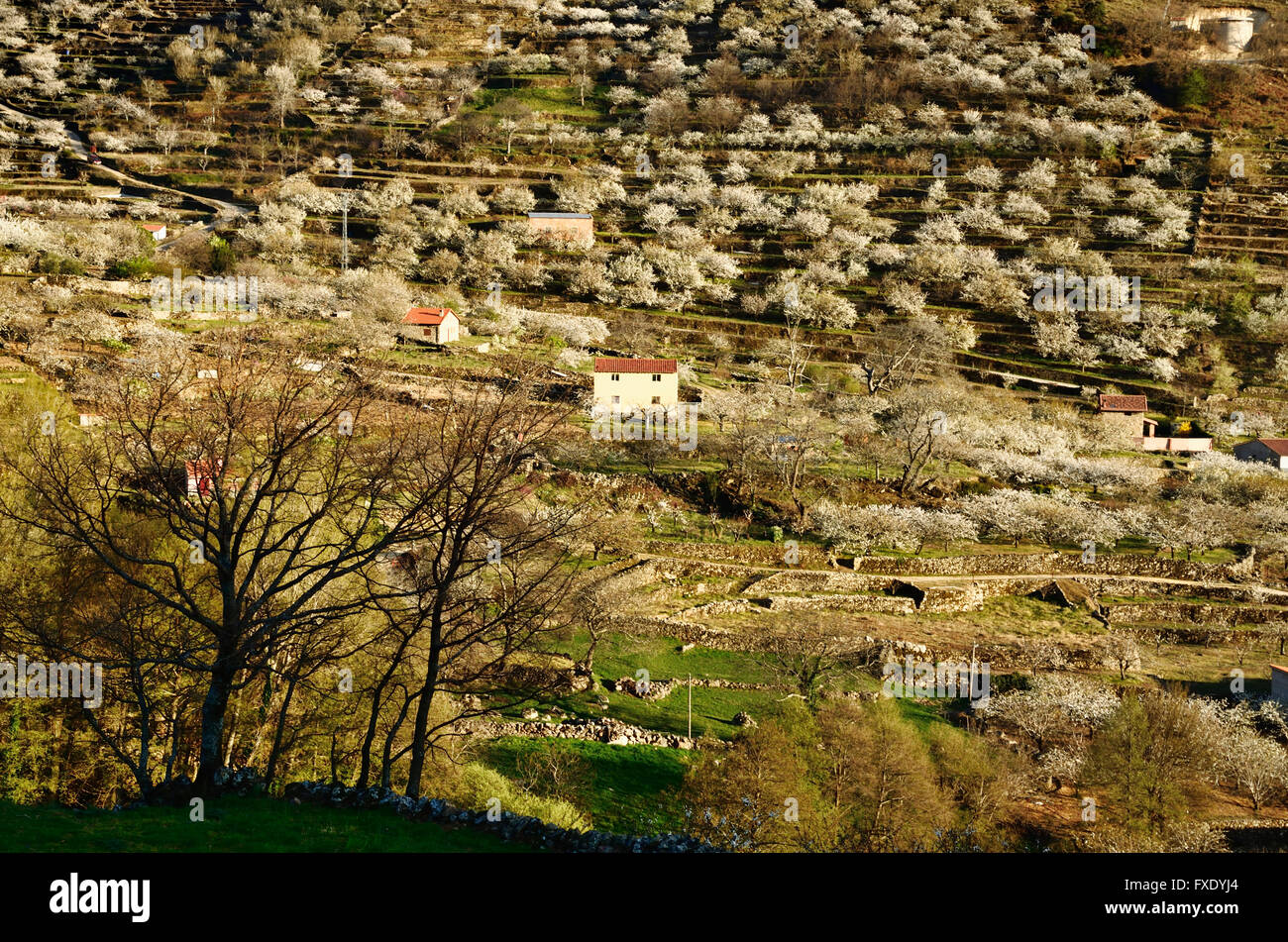 Jerte spain hi-res stock photography and images - Alamy
