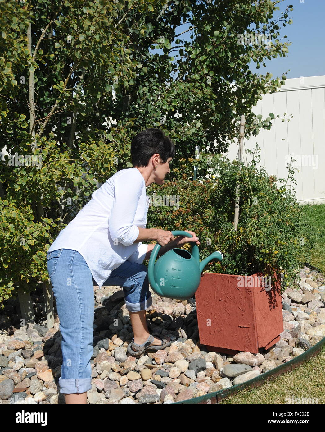Female watering plants Stock Photo - Alamy