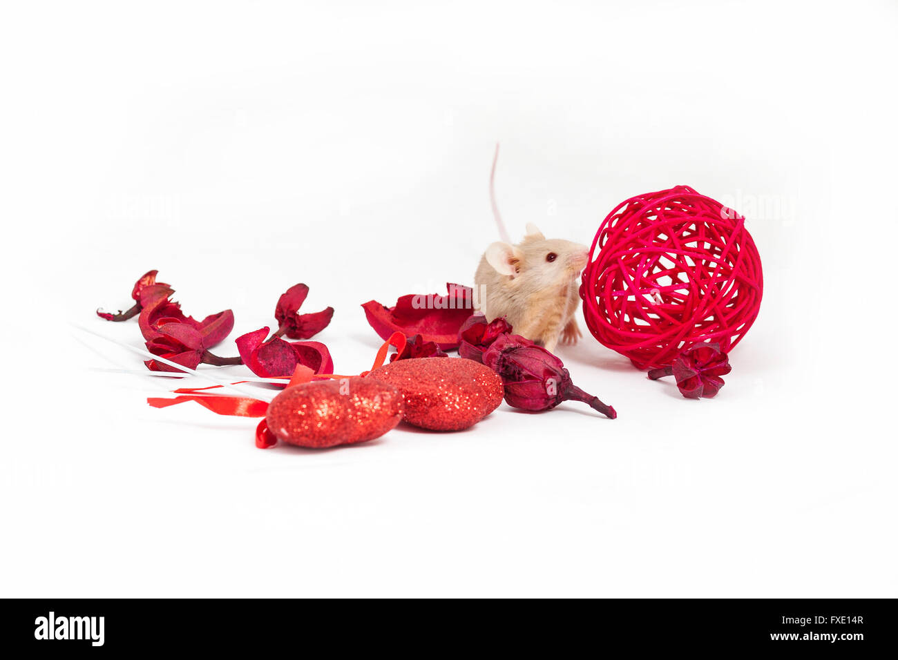 Feeling charming Cut Out Stock Images & Pictures - Alamy