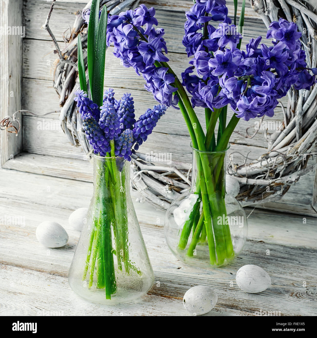 Cut branches of hyacinths in glass flask.Photography in a light tone ...