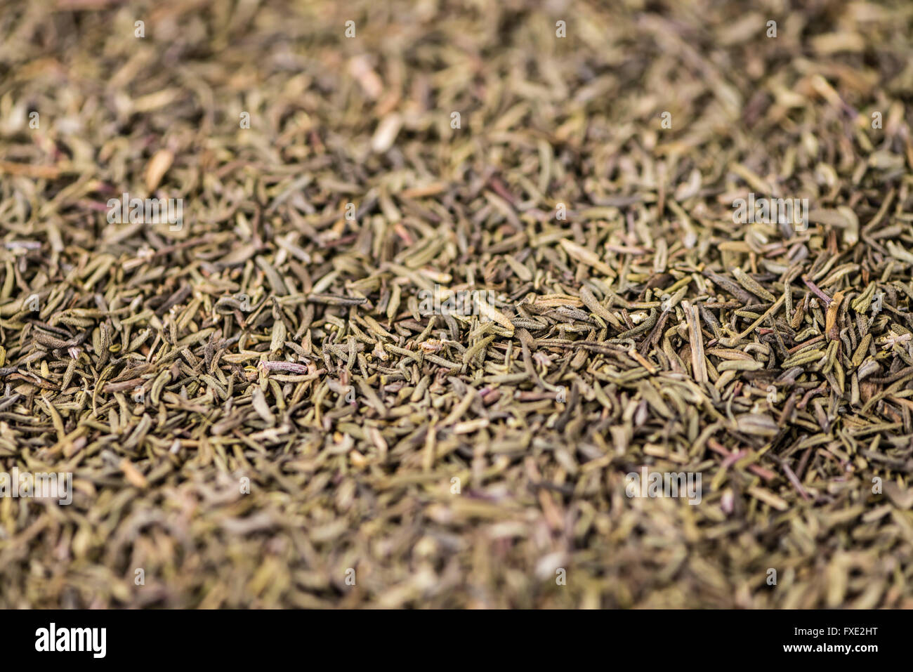 Dried Thyme full frame picture for use as background image or as ...