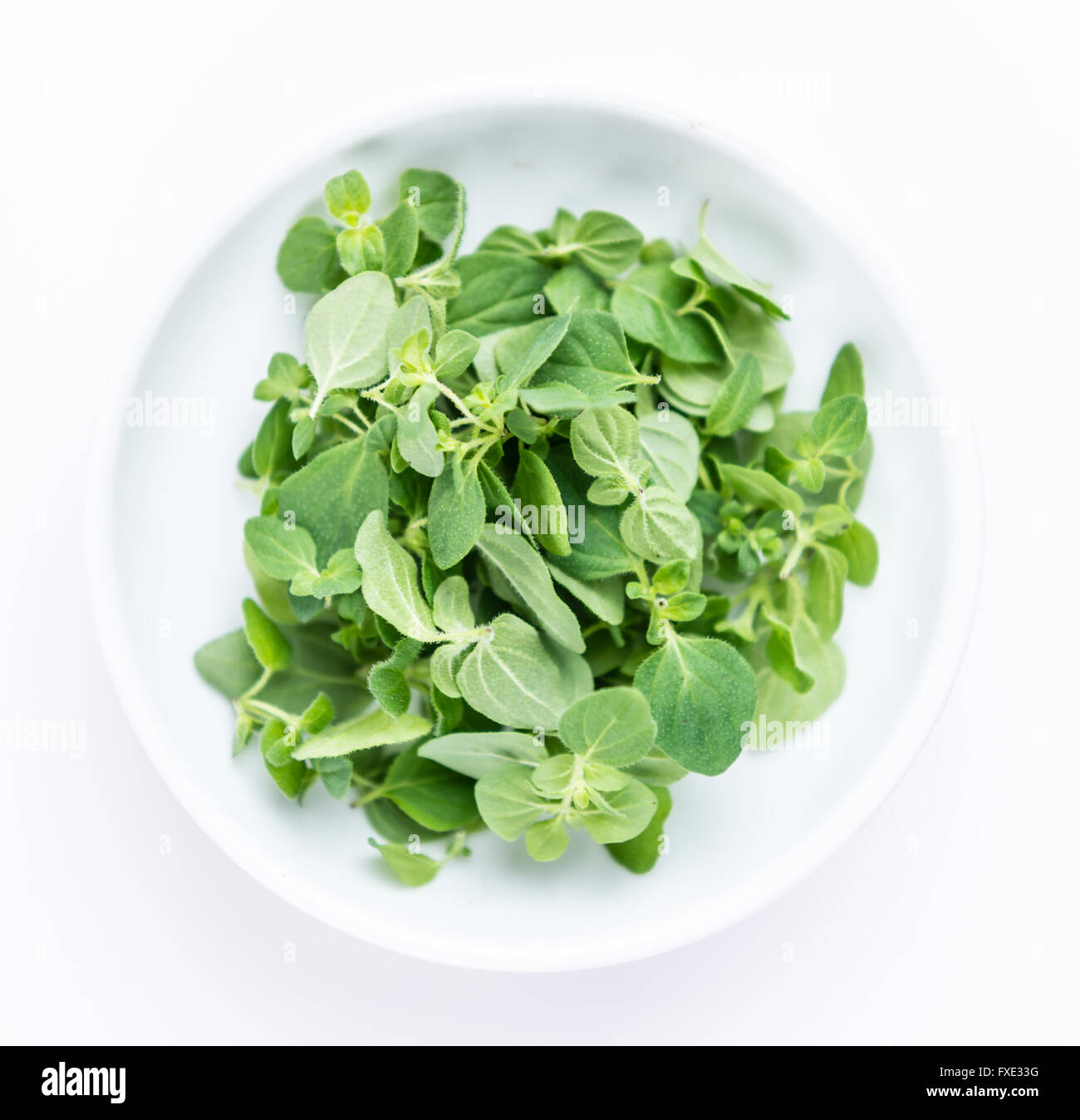 Fresh Oregano (selective focus; close-up shot) on white background ...
