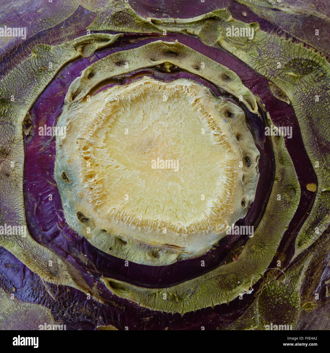 Swede vegetable hi-res stock photography and images - Alamy