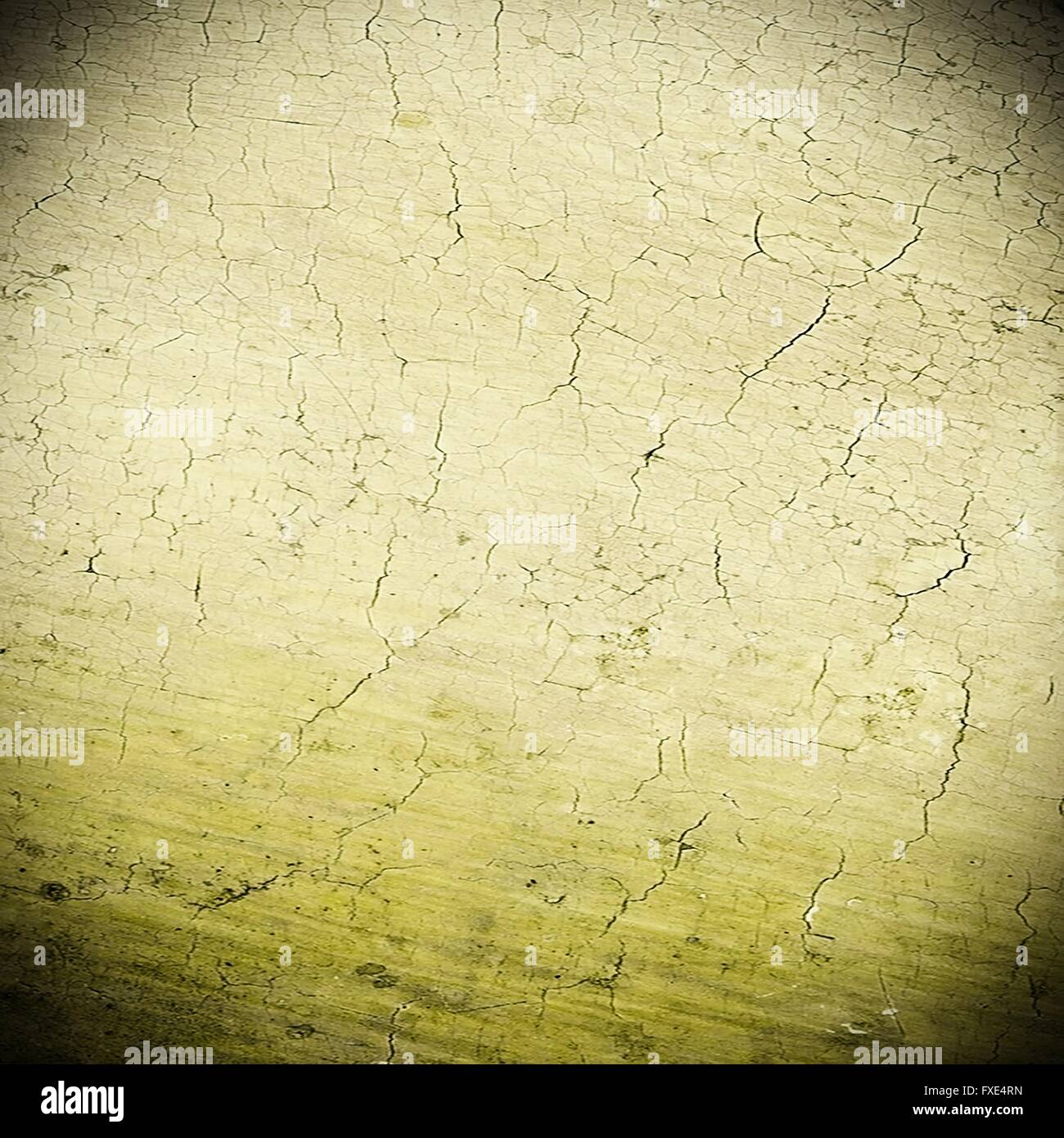 Abstract highly detailed textured grunge background. For creative ...