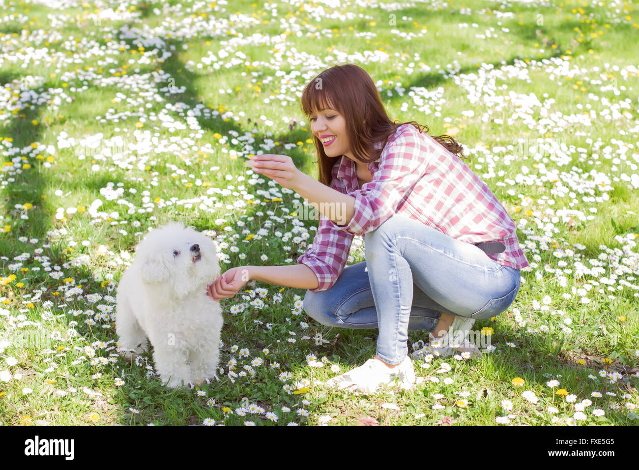 Happy beautiful young woman, enjoying nature with her dog, at sunny ...