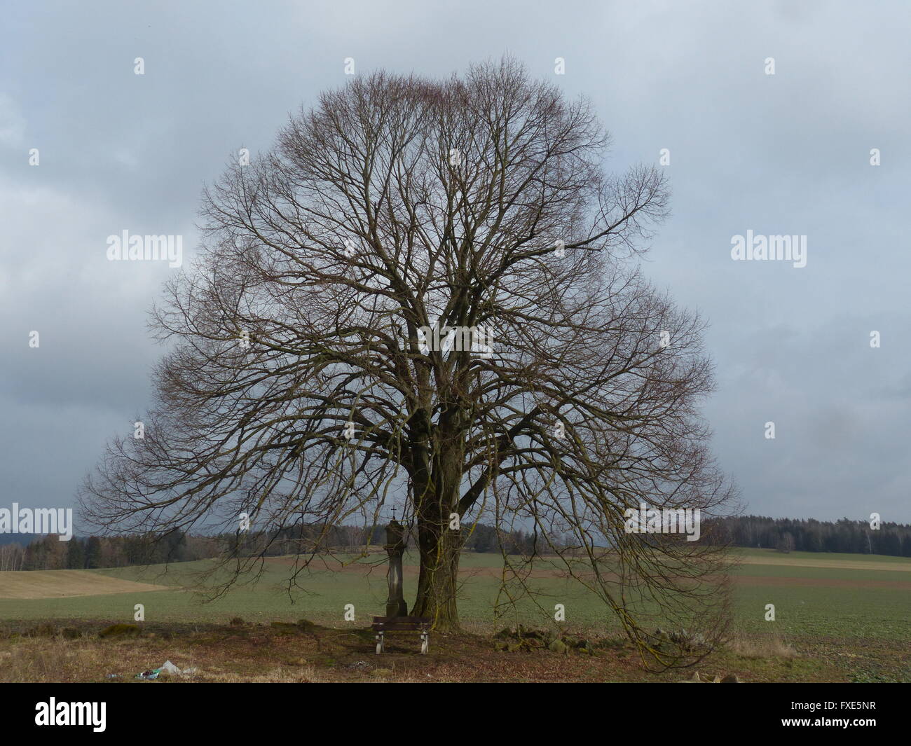 Large crown hi-res stock photography and images - Alamy