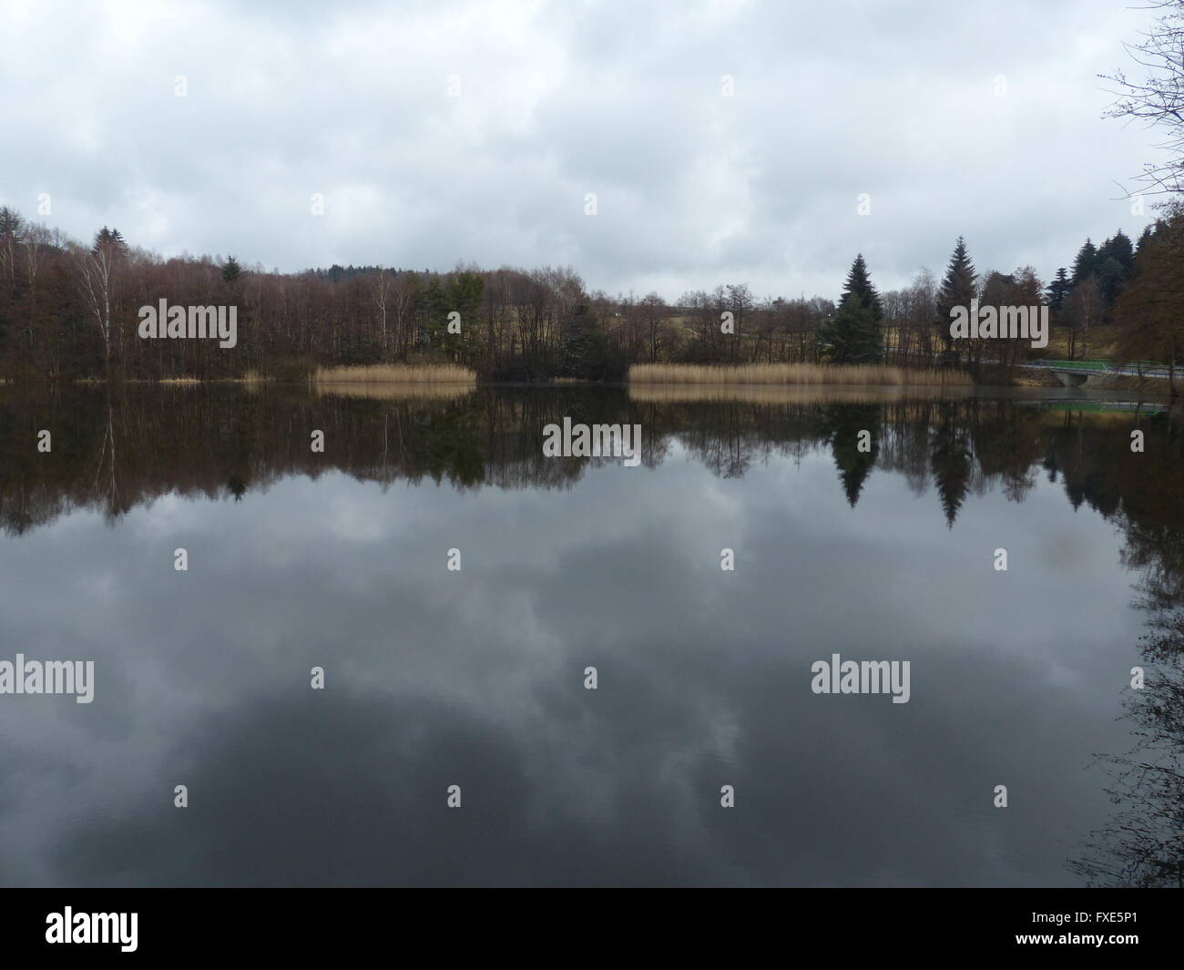 calm lake with tree reflection Stock Photo - Alamy