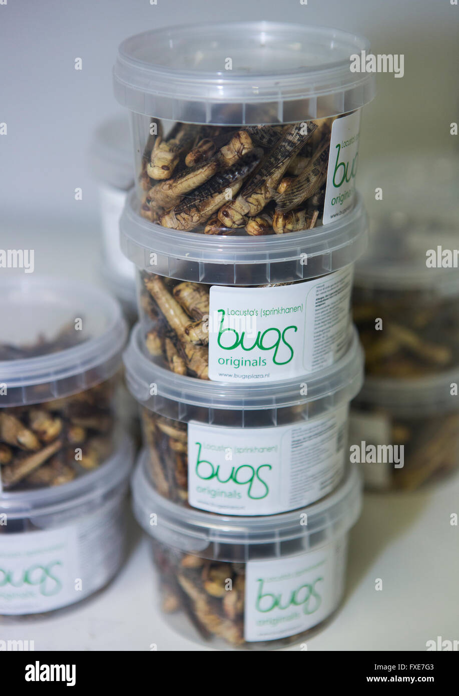 Bugs for human consumption hi-res stock photography and images - Alamy