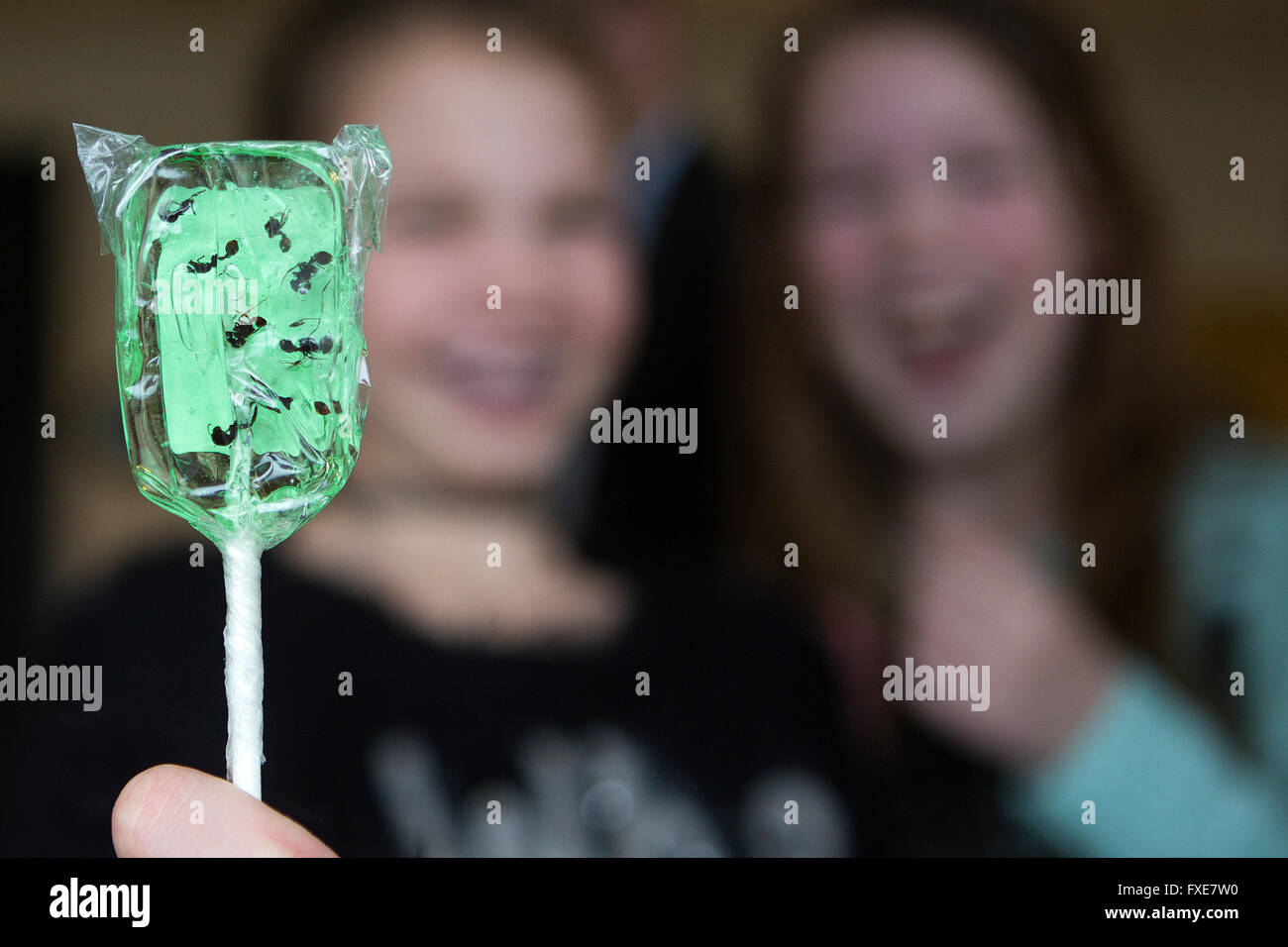 lollypop with insects (ants) inside Stock Photo - Alamy