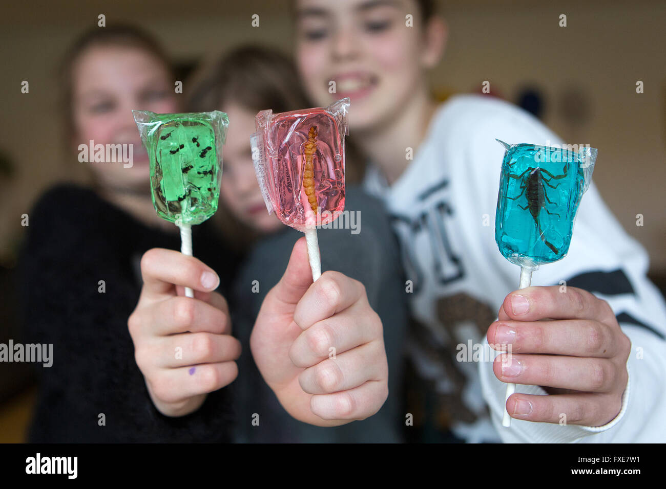 lollypop with insects inside (ants, mealworm and scorpion Stock Photo ...