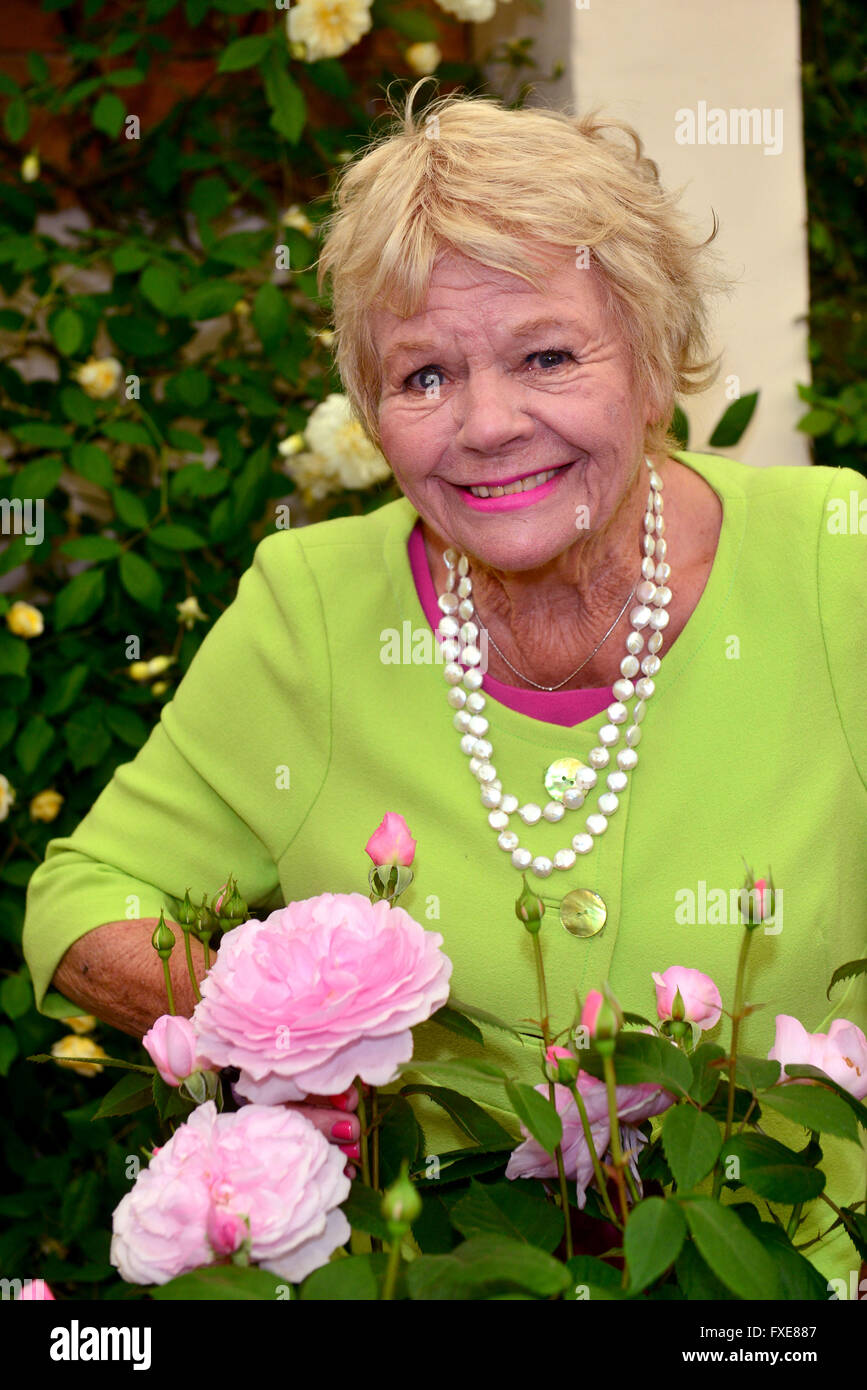 Judith Chalmers High Resolution Stock Photography and Images - Alamy