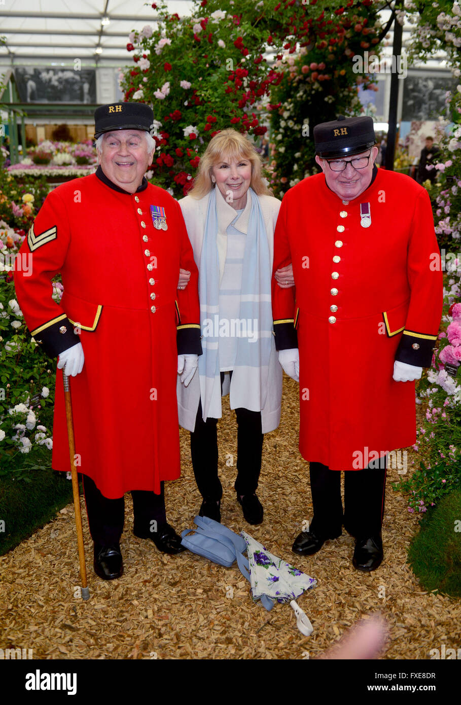 The RHS Chelsea Flower Show, formally known as the Great Spring Show ...