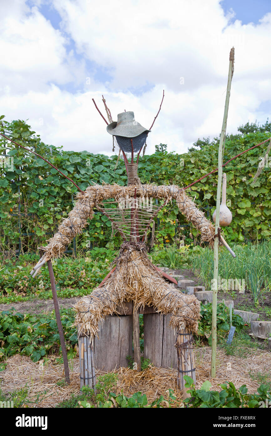 Scarecrow at Babylonstoren farm near Franschhoek in Western Cape ...