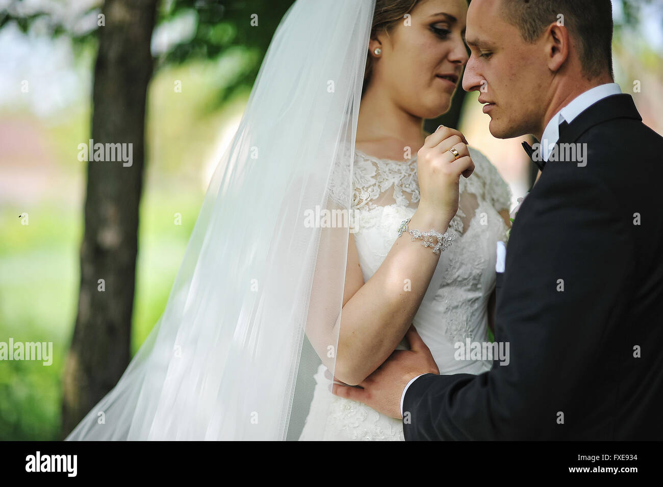 Close up portrait of hugging wedding couple Stock Photo - Alamy