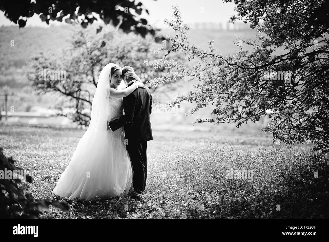 Bride hugging groom head. Amazing wedding couple at park, B&W photo ...
