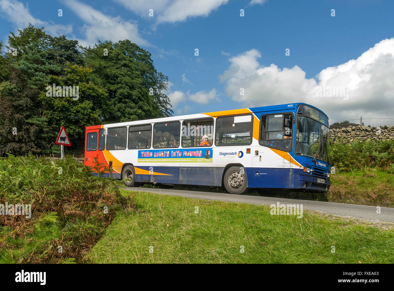 A Stagecoach country rural bus in the Lake District. Cumbria North West ...