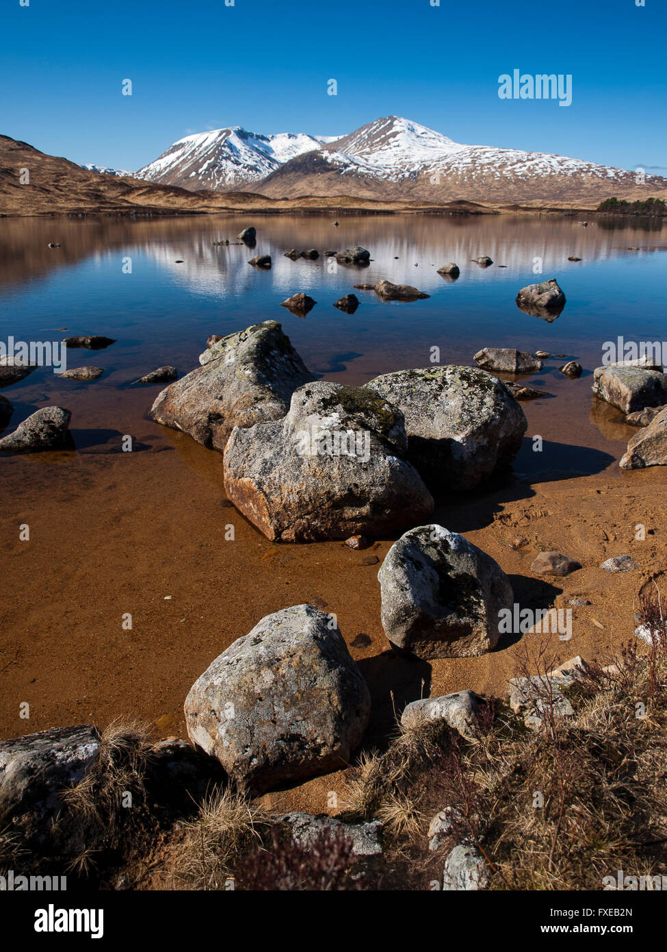 Loch on Rannoch Moor, Scotland Stock Photo - Alamy