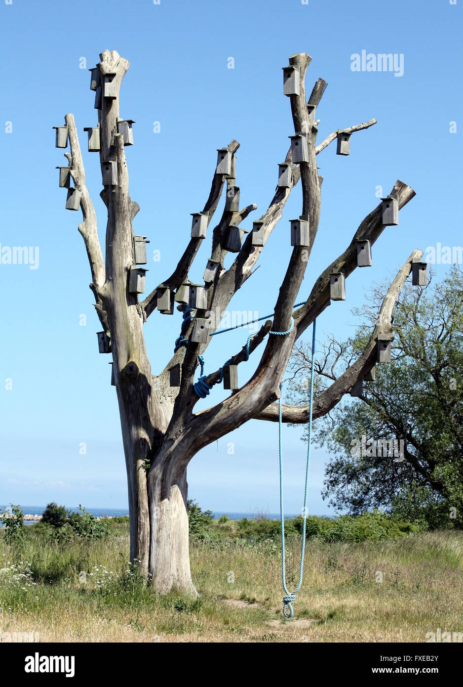 Nesting boxes hang on the branches of a trees Stock Photo - Alamy