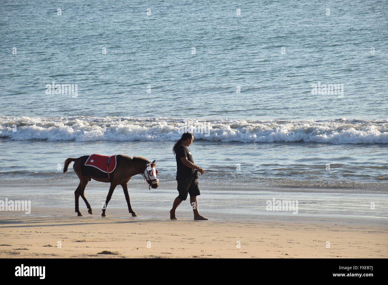 Horse bali hi-res stock photography and images - Alamy