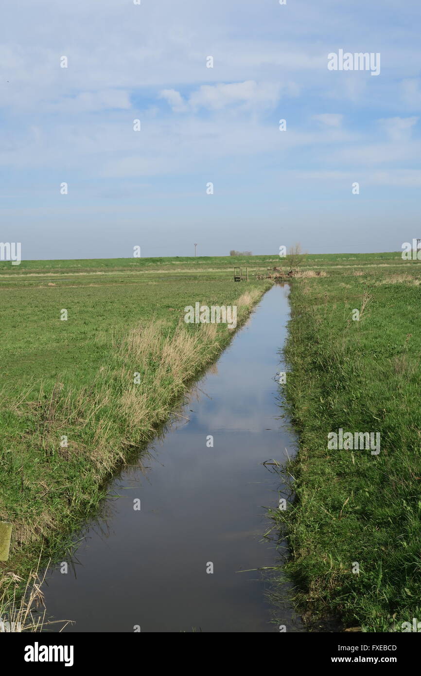 Fen drainage system hi-res stock photography and images - Alamy