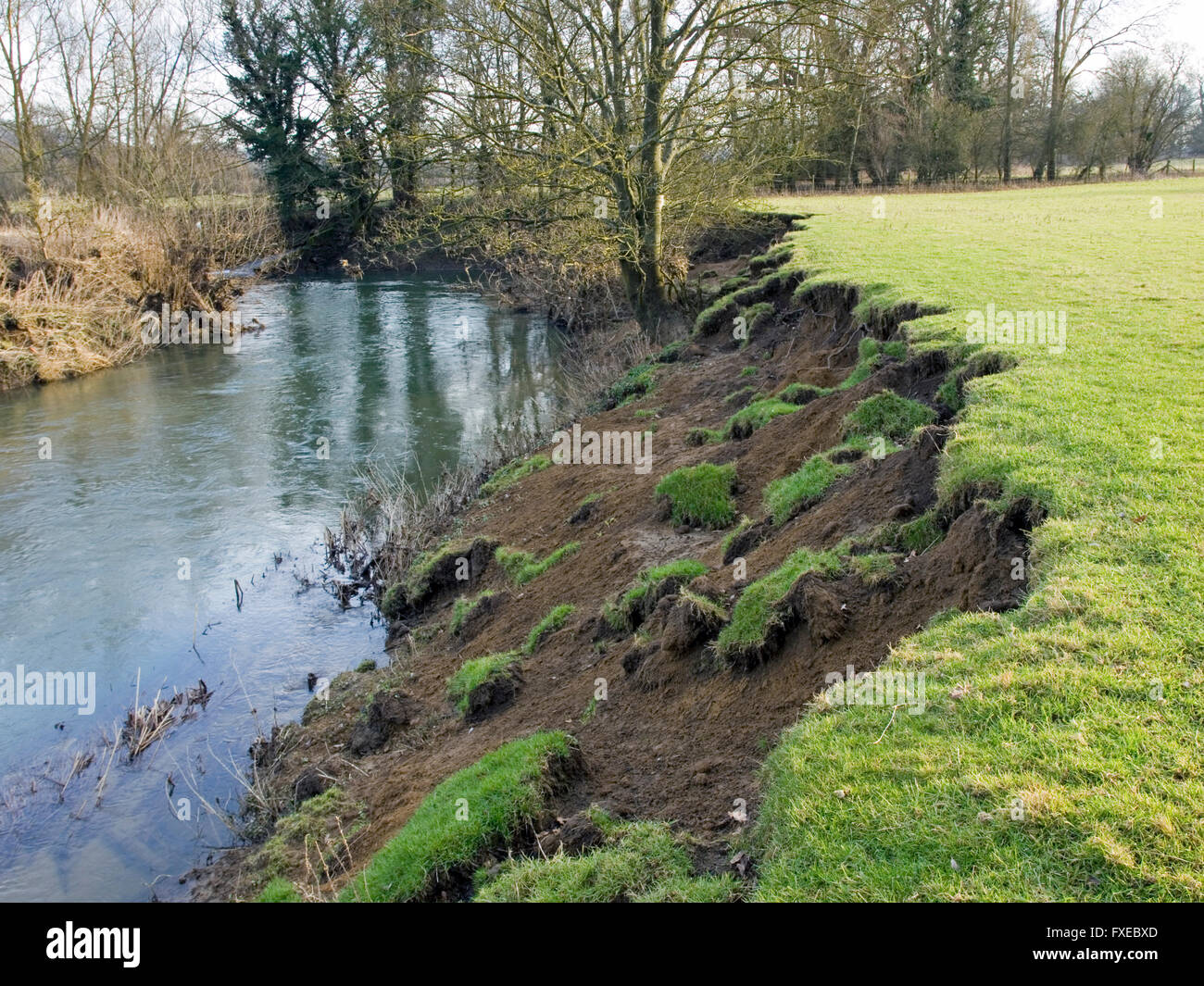 River Bank Erosion