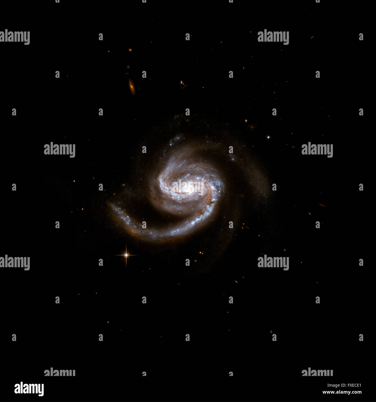 Evolution of star system hi-res stock photography and images - Alamy