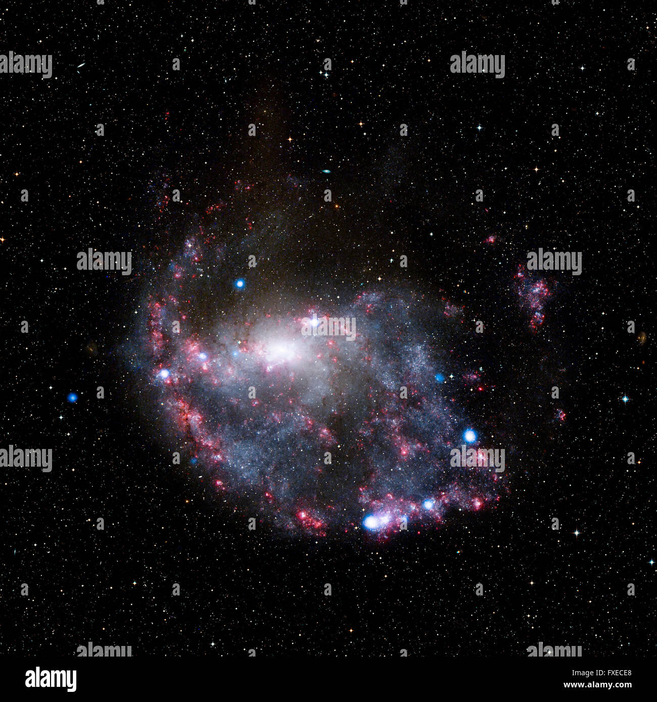 Evolution of star system hi-res stock photography and images - Alamy