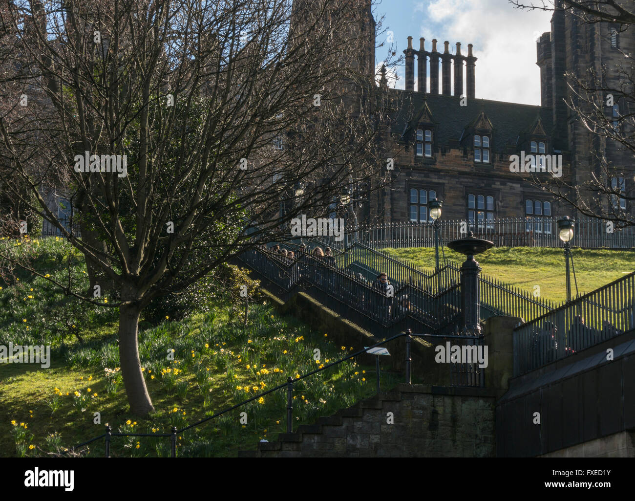 Playfair steps edinburgh hi-res stock photography and images - Alamy
