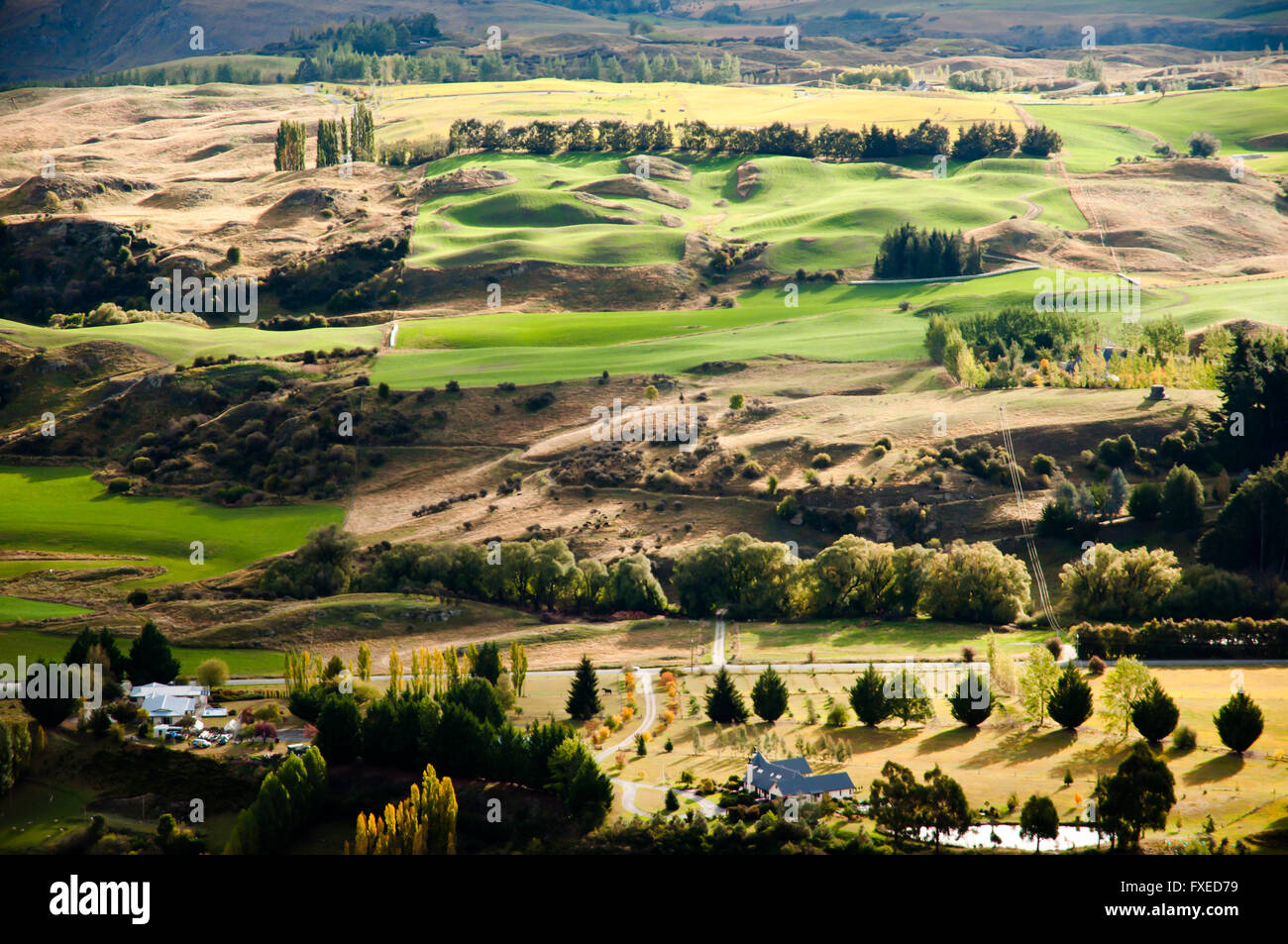 Sheep Pastures - New Zealand Stock Photo - Alamy