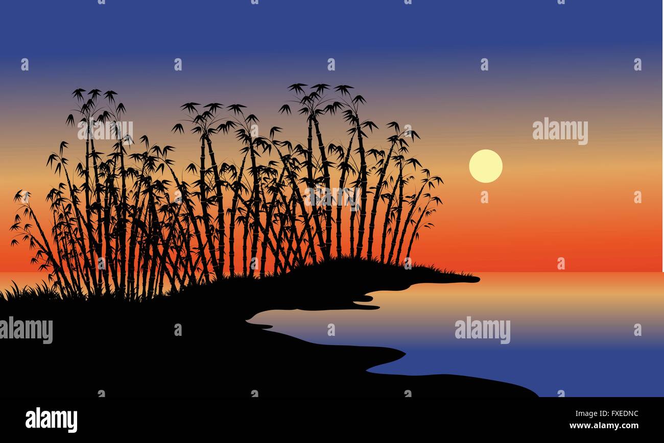 Bamboo in the sun Stock Vector Images - Alamy