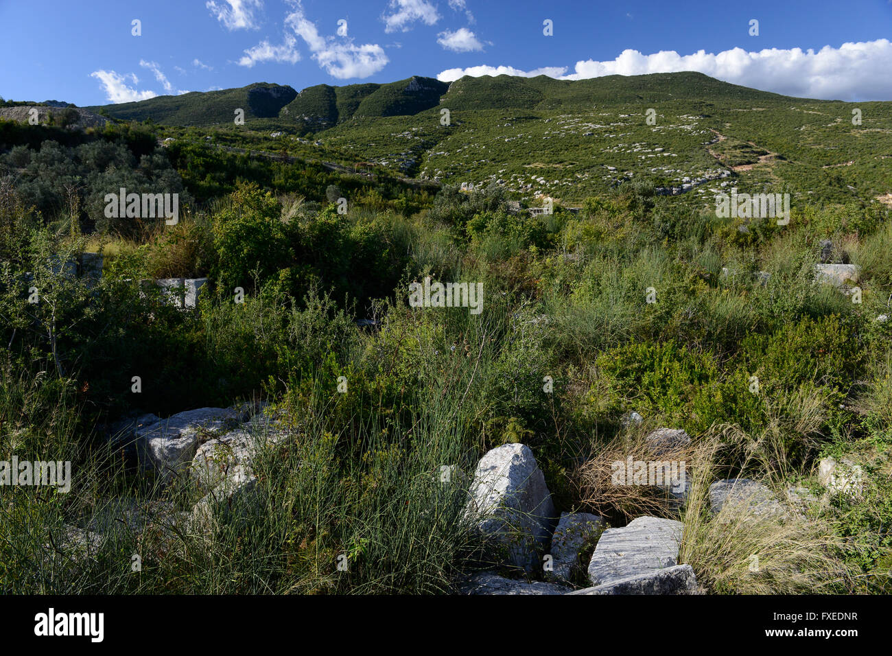 40 days of musa dagh hi-res stock photography and images - Alamy