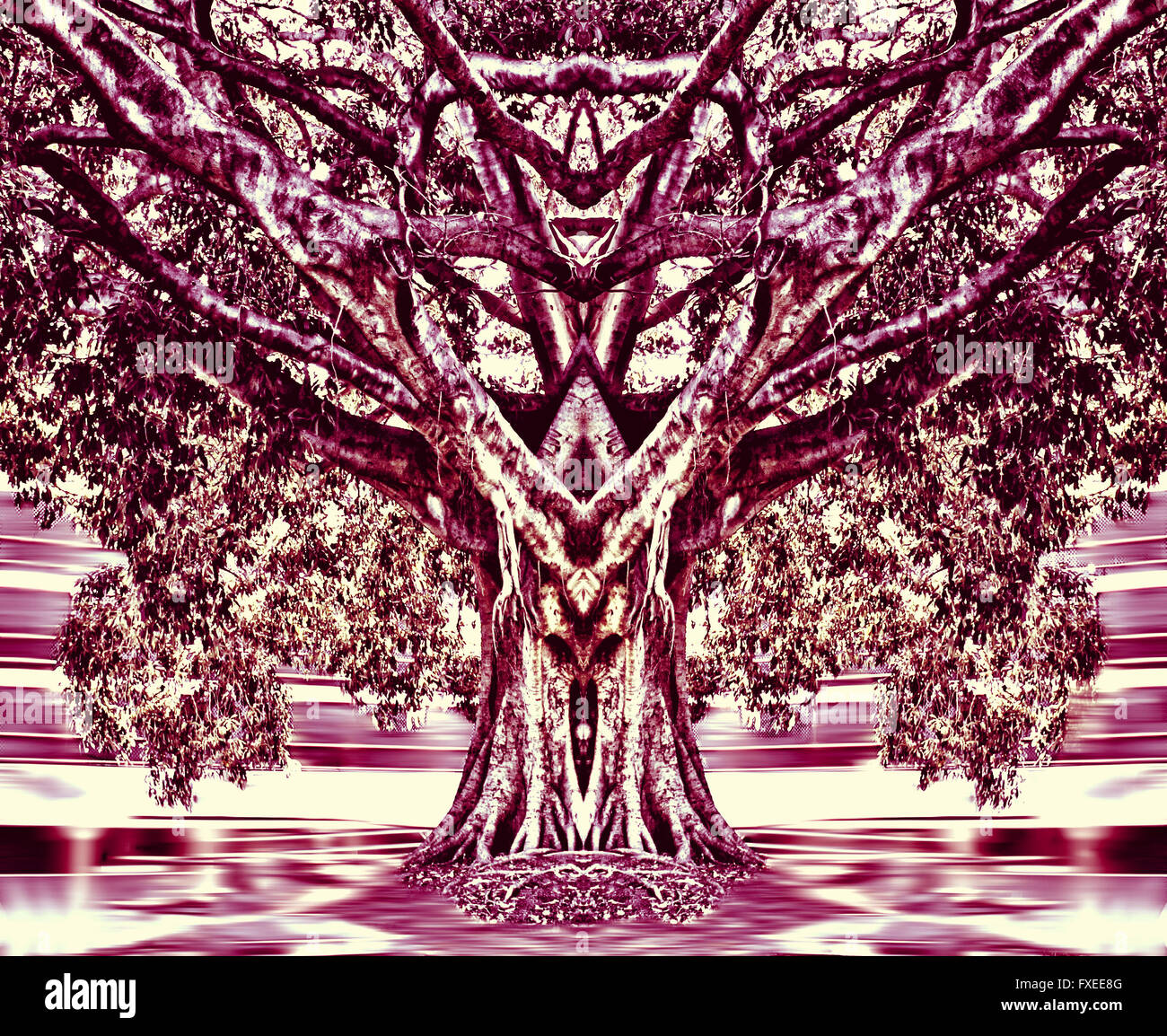 Magical tree hi-res stock photography and images - Alamy