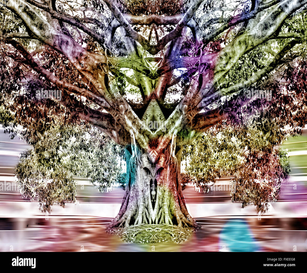 A beautiful, multi-coloured piece showing a huge old tree in a haze of ...