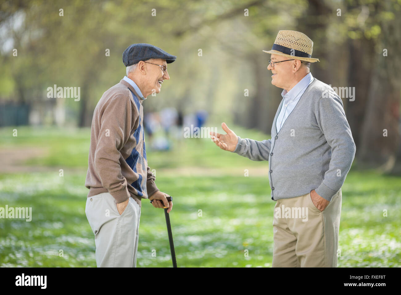 Two old friends having a conversation in a park on a beautiful spring ...