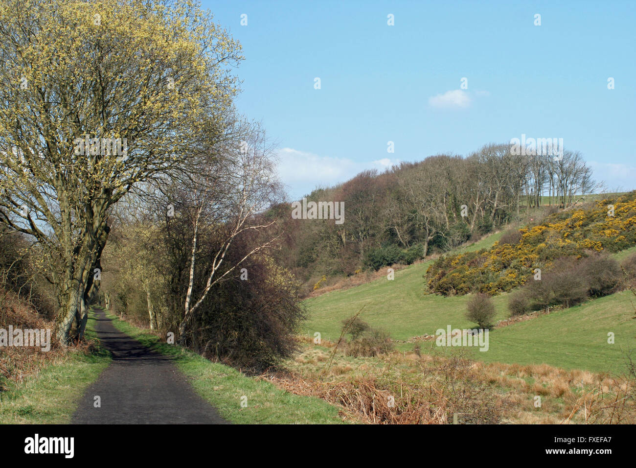 Cloughton hi-res stock photography and images - Alamy