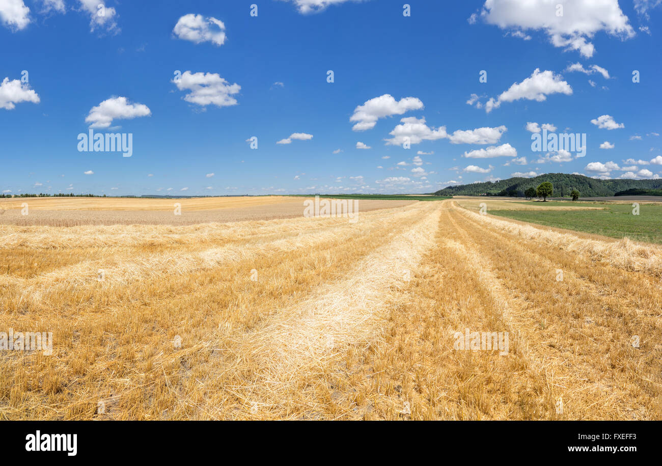 Stubble field hi-res stock photography and images - Alamy