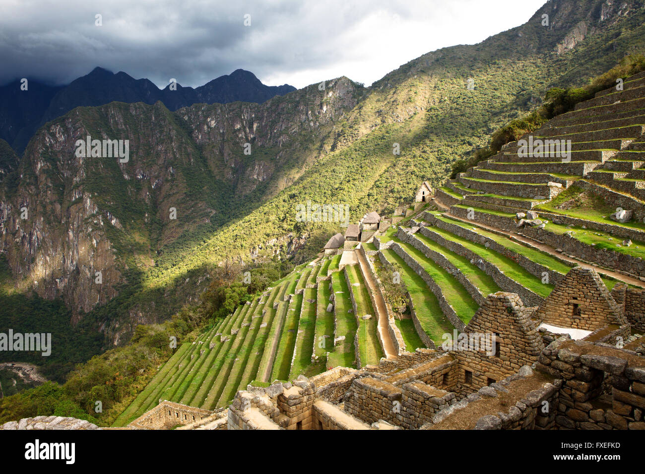 Machu Picchu City ruins stepped terraces at sunset Stock Photo - Alamy