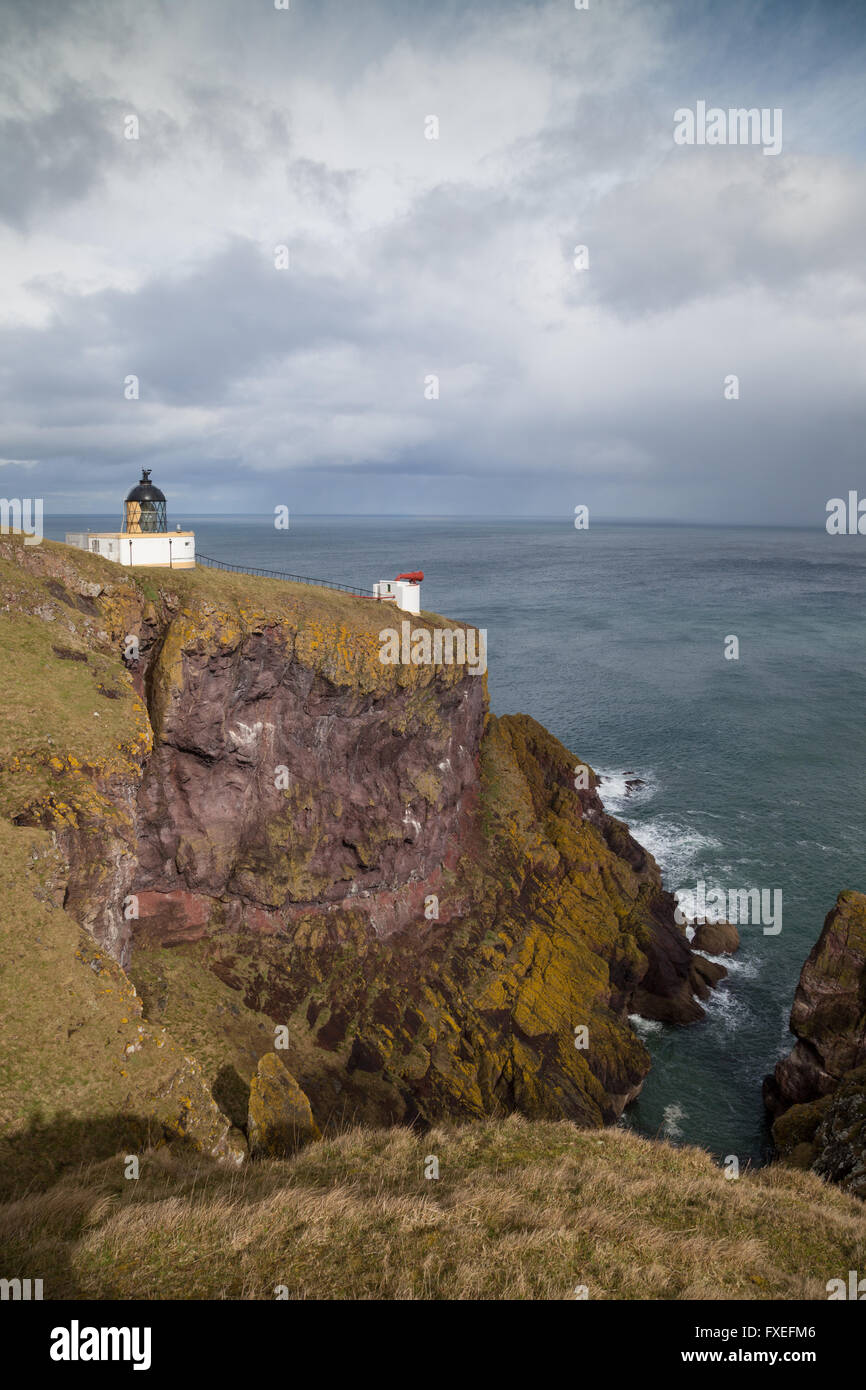 St abbs lighthouse berwickshire scotland hi-res stock photography and images - Alamy